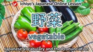 How to say “vegetable” in Japanese | 野菜 (やさい、yasai) | Ichiyo's Japanese Learning Site